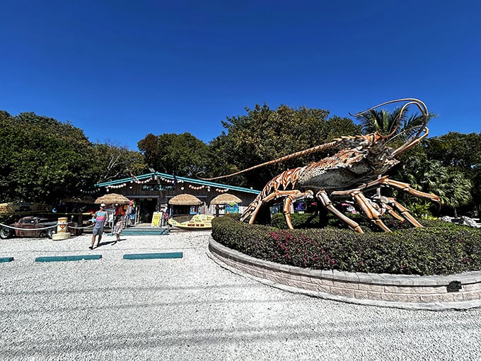 This crustacean queen has been photobombing Florida Keys road trips since before Instagram existed.