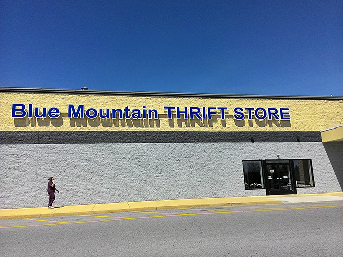 Under that bright blue Pennsylvania sky, Blue Mountain Thrift Store stands ready for your $48 adventure. Treasures inside!