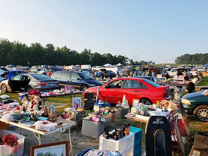 Treasure hunting in action! Cars and tables stretch to the horizon at Jake's, where one person's castoffs become another's gold.