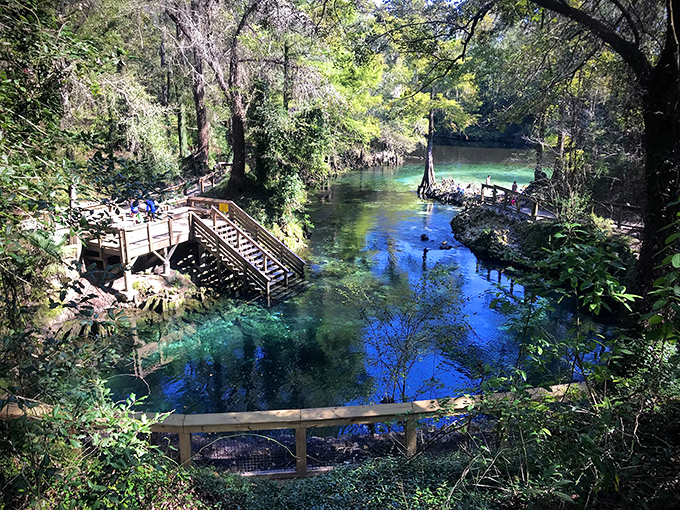 Where crystal meets current: Madison Blue Spring's impossibly clear waters flow into the Withlacoochee River like liquid sapphire.
