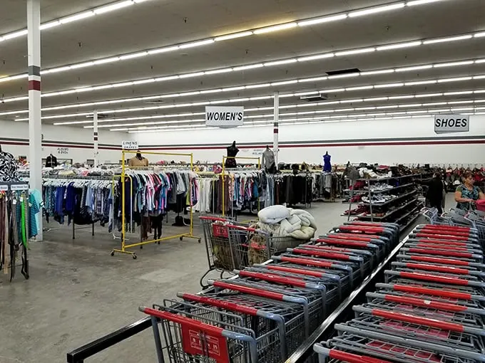 Shopping carts lined up and ready for action – you'll need one for all the bargains waiting in this thrifter's wonderland.