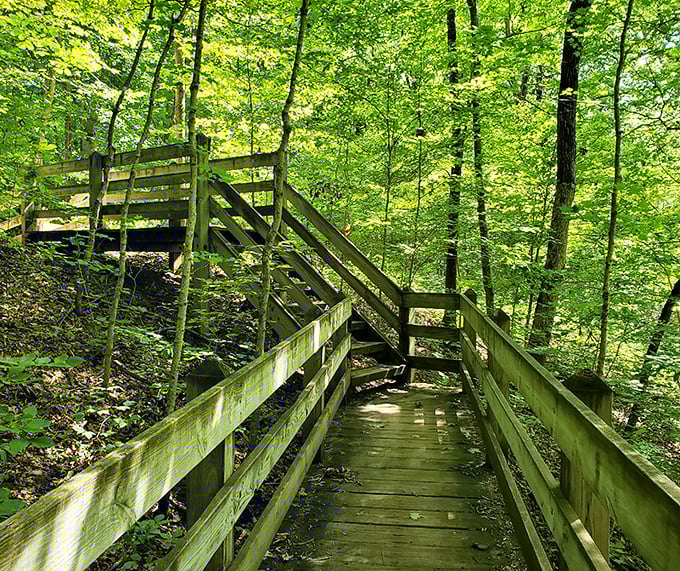 These wooden steps at Shades State Park invite you deeper into the forest. Adventure awaits around every bend!