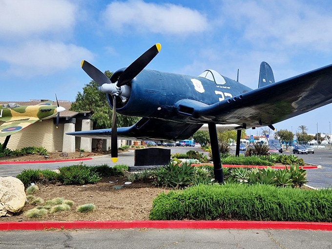 The Proud Bird: Navy blue and ready for you! This restored military aircraft stands guard outside, giving diners a taste of aviation glory before the meal.