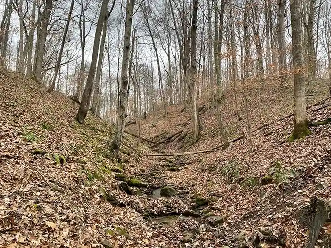 Nature's original stairmaster. These leaf-carpeted ravines tell stories of glacial retreat, whispering secrets to hikers willing to venture off the beaten path.