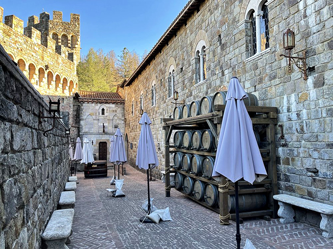 Wine barrels aging peacefully in the courtyard, where centuries-old techniques meet modern winemaking. The stone walls practically whisper tales of vintages past.