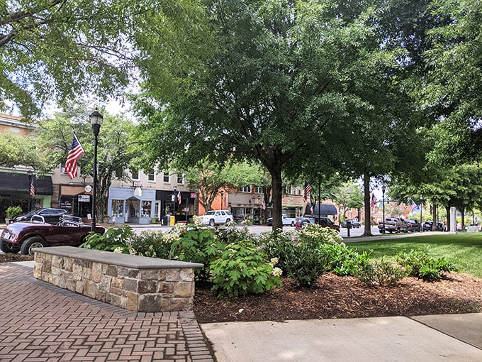 Shelby's courthouse square feels like a Norman Rockwell painting come to life, where park benches invite you to sit and watch the world unfold.