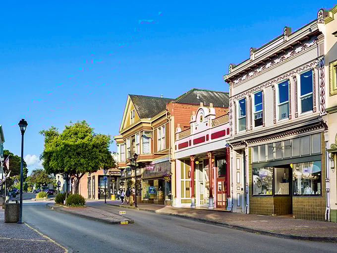 Downtown Trinidad looks like a movie set where Gold Rush history meets coastal charm – the kind of Main Street where everybody really does know your name.
