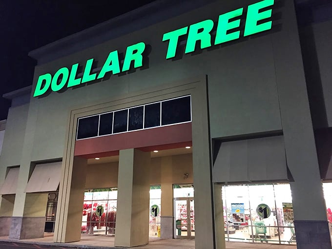 Night or day, that luminous Dollar Tree sign promises the same thing: treasure hunting where everything costs about a buck.