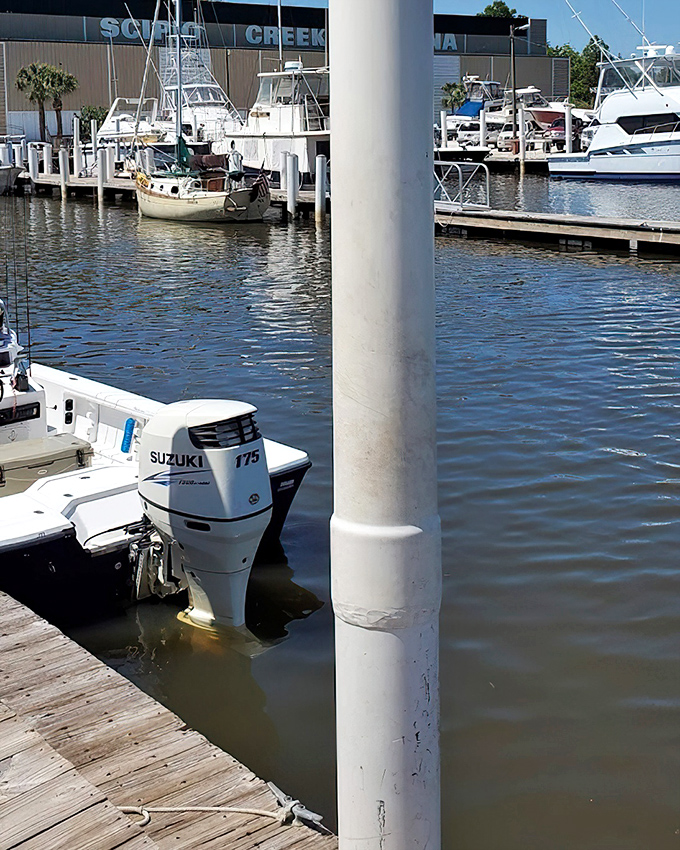 At Scipio Creek Marina, boats bob gently in their slips – a nautical neighborhood where seafood begins its journey from Gulf to plate.