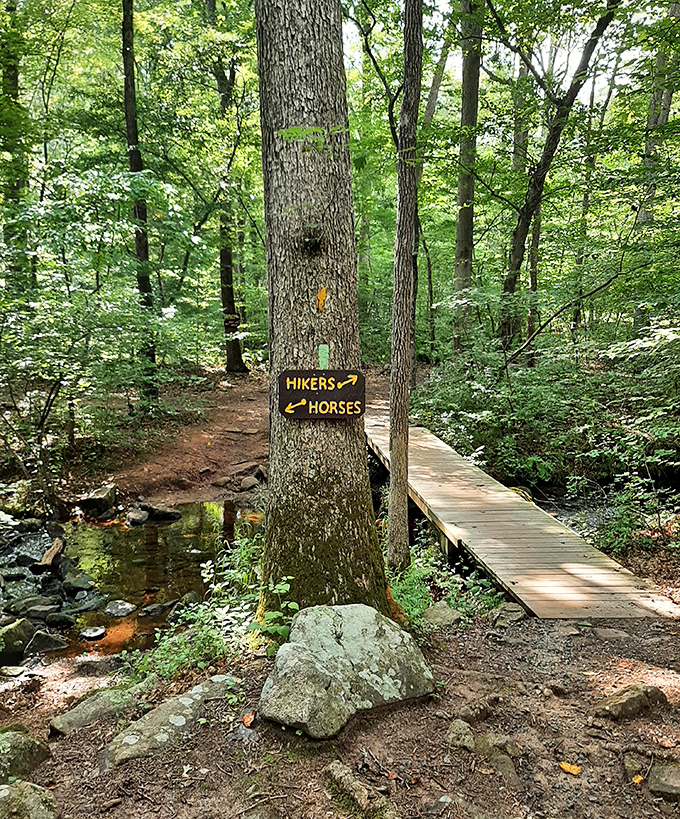 Trail democracy in action – hikers go right, horses left. The wooden bridge promises adventure without the soggy socks tax.