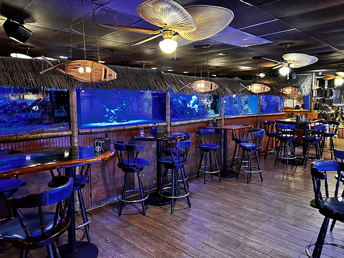 Dining under wooden fish lamps with aquariums glowing blue nearby isn't just ambiance—it's dinner and a show where the supporting cast has fins.