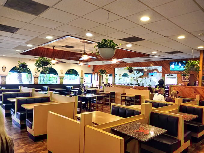 Classic diner geometry: wooden booths, hanging plants, and that perfect lighting that makes everyone look like they're having the best day ever.