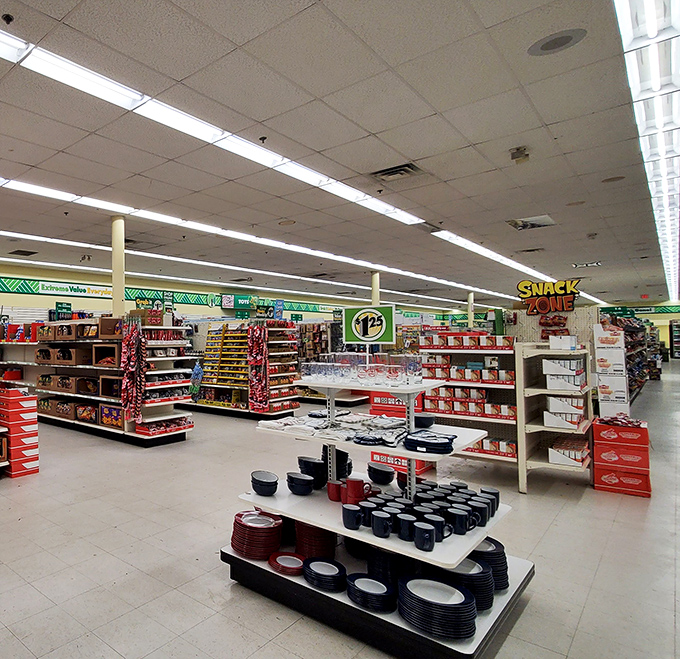 Fluorescent lights illuminate a wonderland of possibilities where your dollars stretch further than your wildest budget dreams.