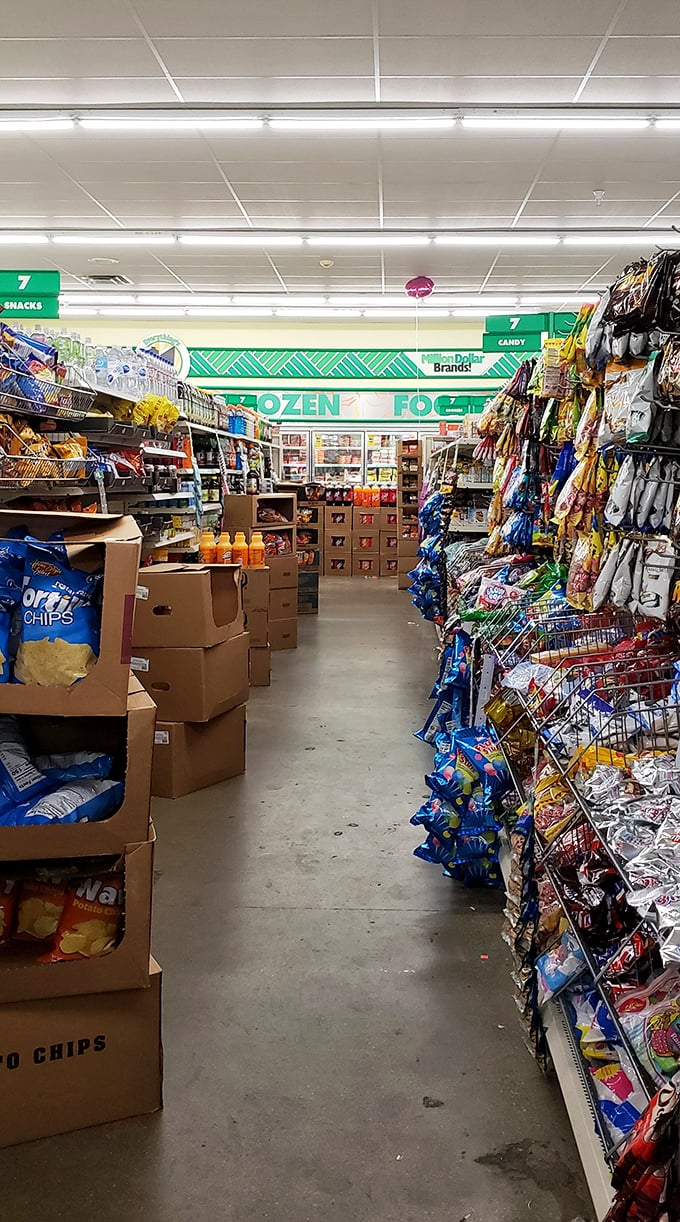 Aisle after glorious aisle of snacks, frozen treats, and everyday essentials—proof that abundance doesn't always come with a premium price tag.
