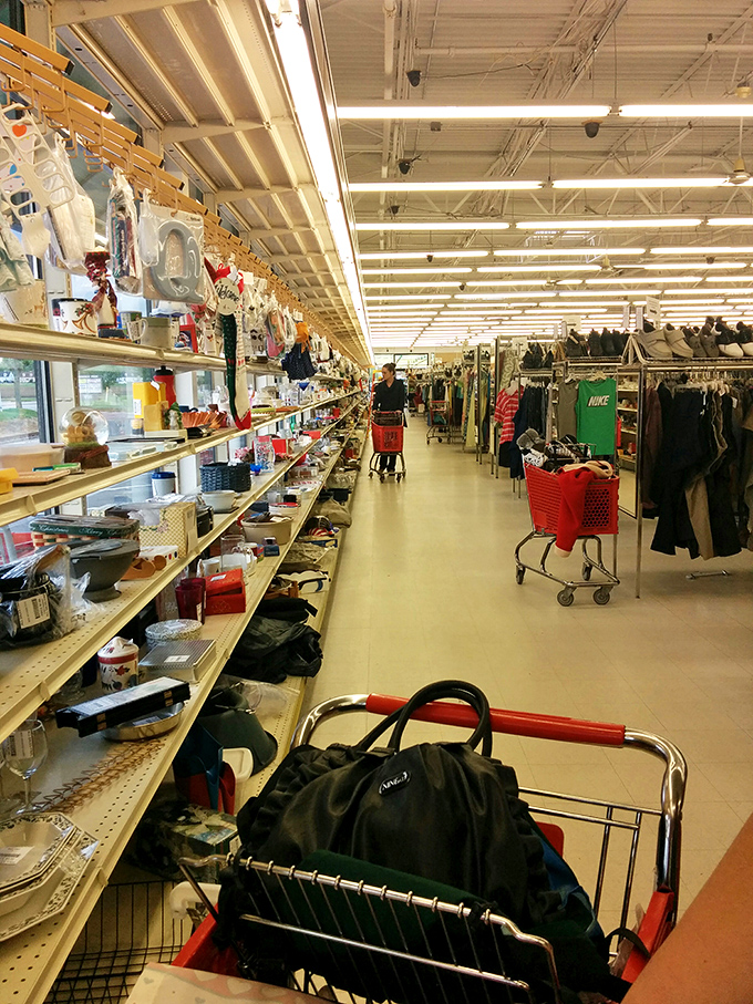 Aisles that stretch toward infinity, filled with yesterday's treasures waiting for tomorrow's homes. The thrill of the hunt begins here.