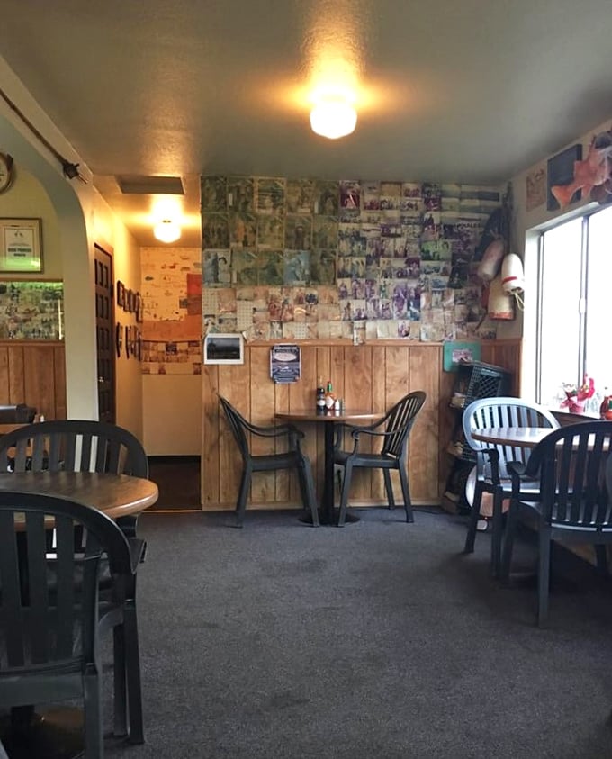 No interior designer needed here—just decades of memories plastered on wooden walls, creating the kind of authentic atmosphere money can't manufacture.