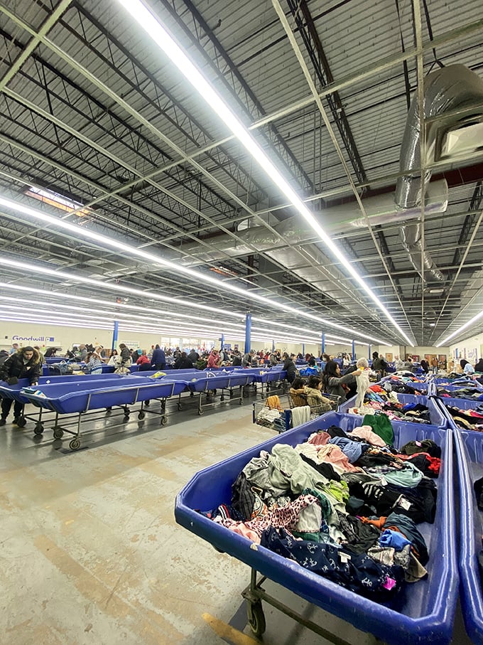 A warehouse wonderland where blue bins stretch to the horizon. This isn't shopping – it's an archaeological expedition with better lighting.