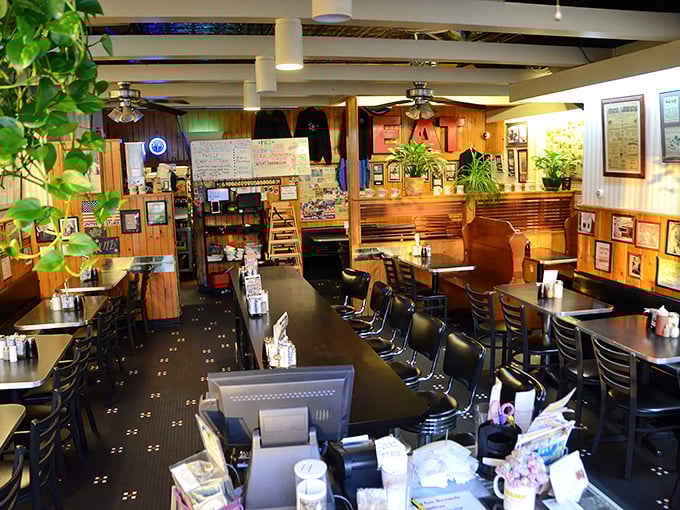 Wood-paneled walls tell stories while potted plants add homey touches. This isn't interior design – it's a time capsule of American diner culture where comfort trumps trendiness every time.