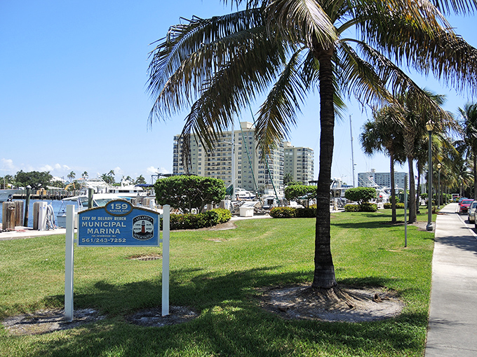 The Municipal Marina offers affordable dockage for boat enthusiasts, proving waterfront living doesn't require a hedge fund manager's salary.