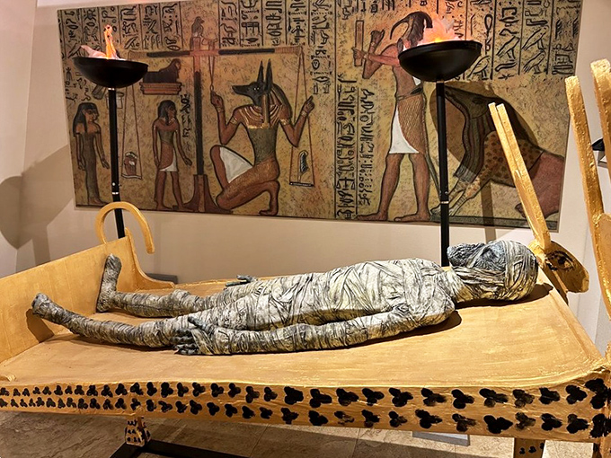 Ancient Egyptians were the original preservation experts. This mummy display shows they took "planning ahead" to a whole new level.
