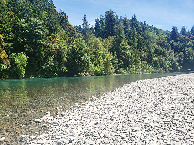 The Chetco River flows with the kind of serenity that makes you forget your phone exists.