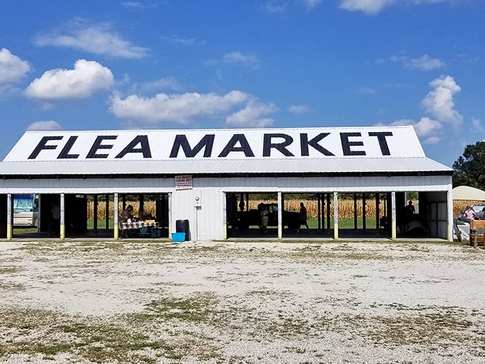 No fancy digital displays needed here—just bold letters on a metal roof announcing a wonderland of possibilities beneath.