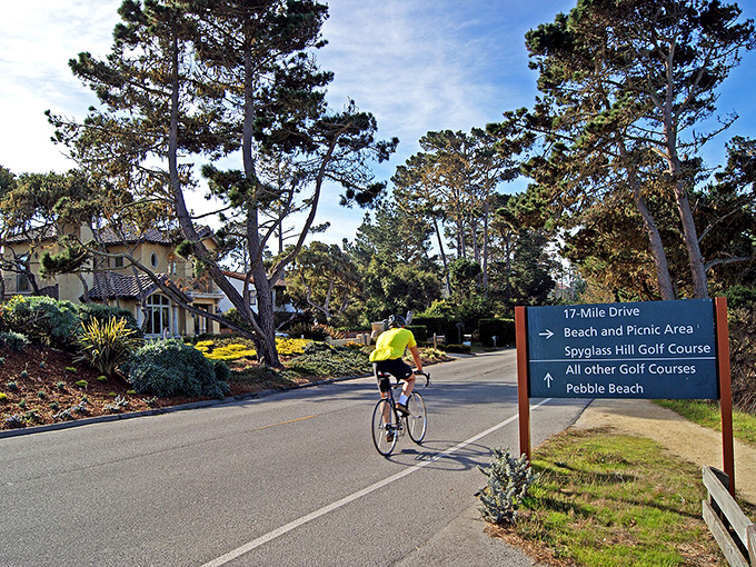 Nature's GPS: Even the directional signs along 17 Mile Drive seem to whisper, "Slow down, take the scenic route—your emails can wait."