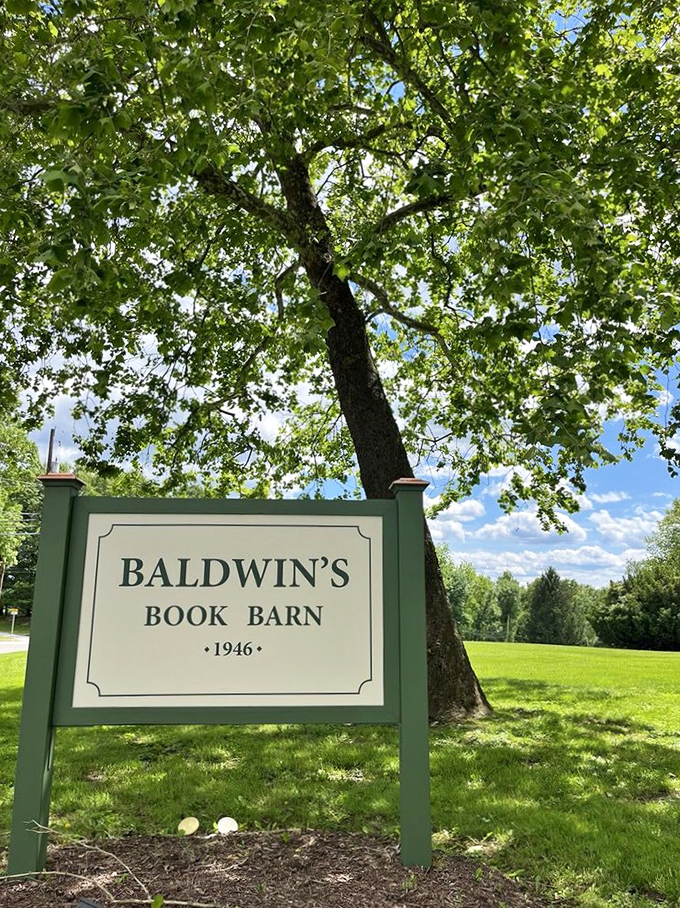 "Est. 1946" proclaims the sign, but the magic inside feels timeless—as if books have been finding their perfect readers here since the dawn of printing
