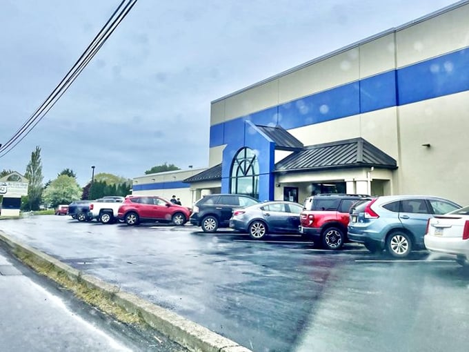 Rain or shine, the packed parking lot tells the real story. This isn't just shopping—it's a pilgrimage for the bargain-faithful.