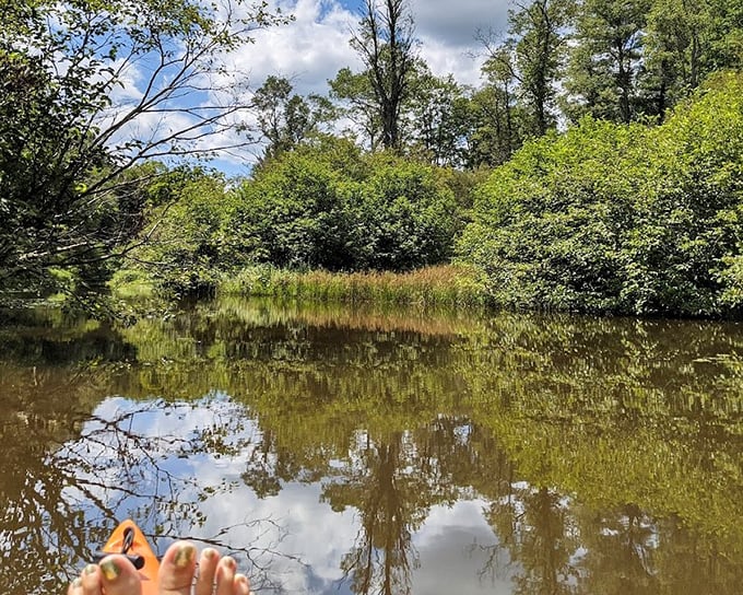 Stillness has never been so captivating. This reflective waterway doubles as nature's most perfect mirror—no Instagram filter required.