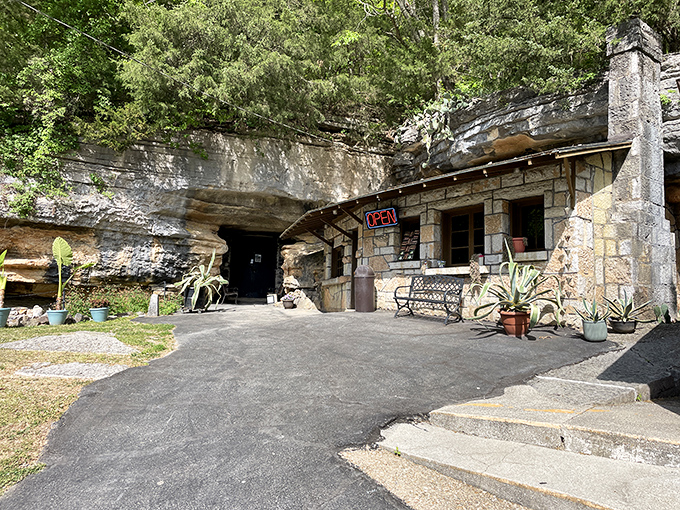 The unassuming entrance belies the wonderland within—like finding Narnia through a stone wardrobe, but with better lighting and no ice queen.
