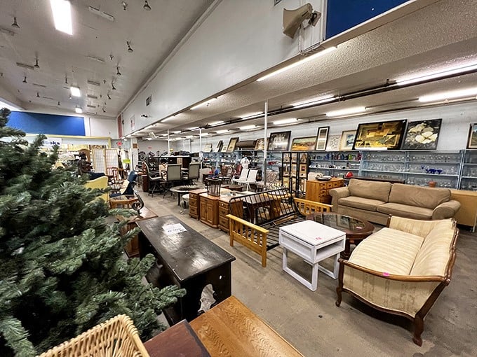 Not your grandmother's furniture department—unless your grandmother had impeccable taste and a knack for finding mid-century gems at bargain prices.