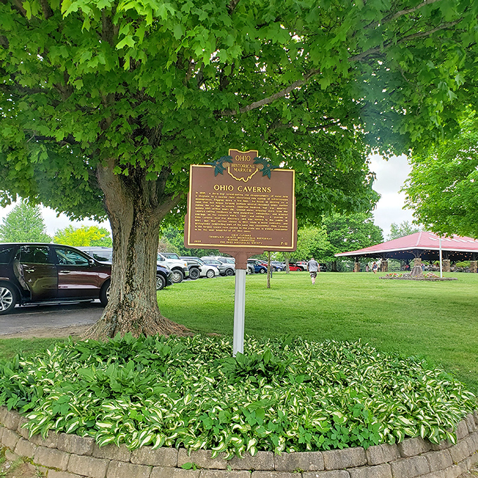 The historical marker stands sentinel under a leafy guardian, quietly announcing one of Ohio's most spectacular underground treasures to passing travelers.
