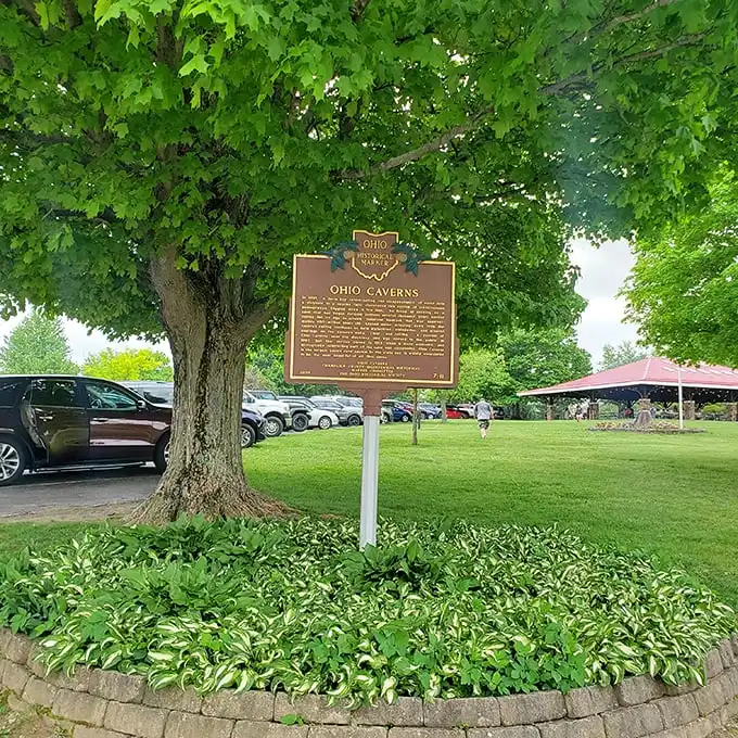 The historical marker stands sentinel under a leafy guardian, quietly announcing one of Ohio's most spectacular underground treasures to passing travelers.
