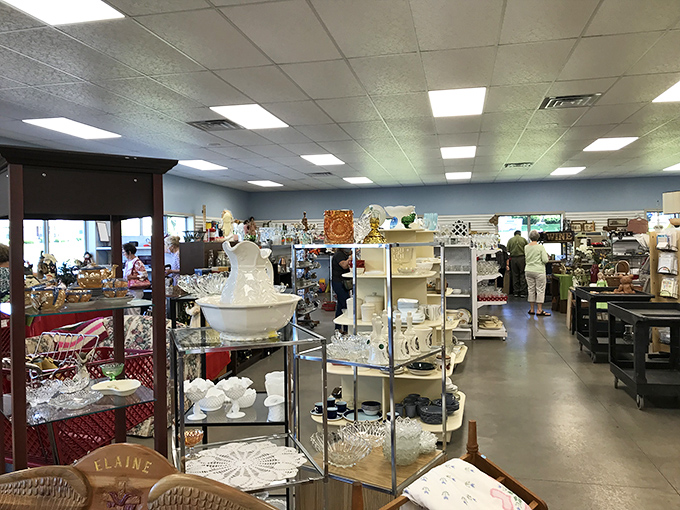 Treasure hunters navigate aisles of carefully curated collectibles, where one person's past becomes another's perfect find.