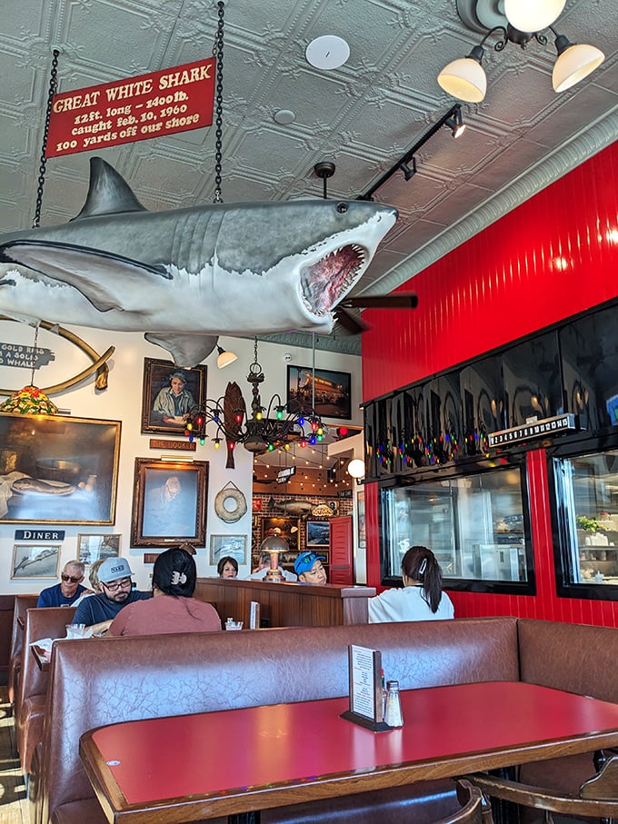 Inside, maritime memorabilia creates organized chaos where every fishing net tells a story of the sea.