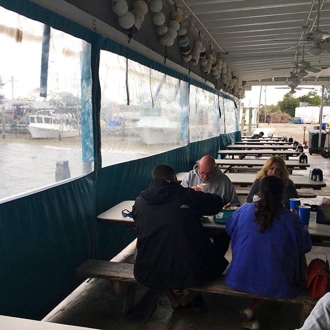 Waterfront dining at its most authentic. The plastic wind barriers aren't for aesthetics—they're for ensuring your napkin doesn't sail to Cuba during lunch.