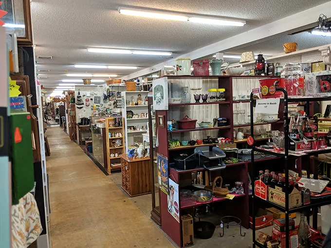 Endless aisles of organized chaos – where every turn reveals another decade's worth of memories waiting to be rediscovered and rehomed.