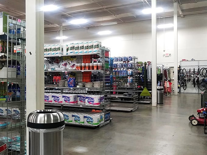 Step inside and witness retail archaeology at its finest - every aisle promises discoveries waiting to happen.