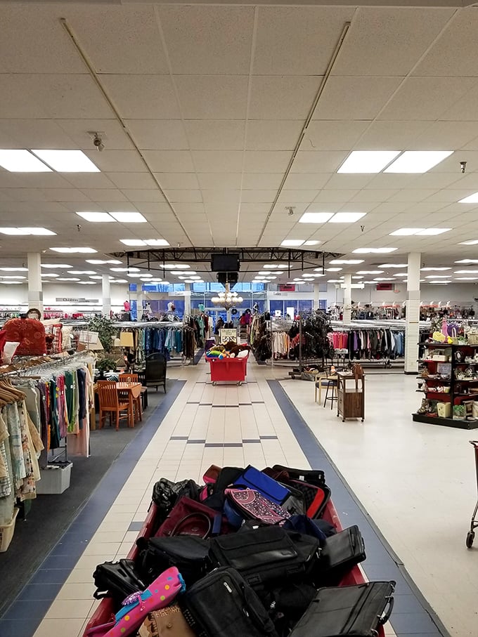 Endless aisles stretch toward retail infinity. This isn't just a store—it's an expedition where shopping carts become treasure chests.