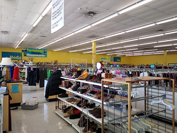 Organized chaos at its finest—row after row of potential treasures await their forever homes. The thrill of the hunt without needing a compass!