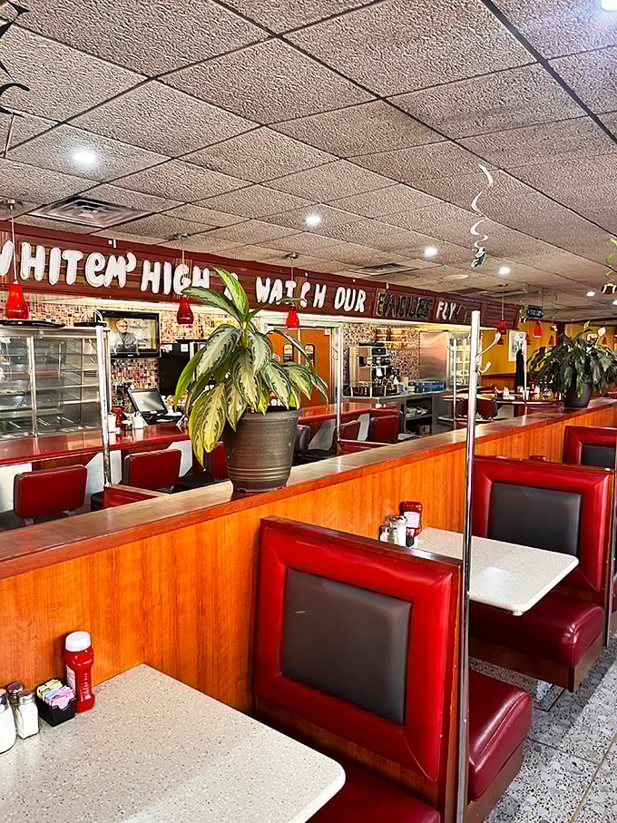 Red vinyl booths and wood paneling create that perfect nostalgic atmosphere where conversations flow as freely as the coffee. Comfort defined.