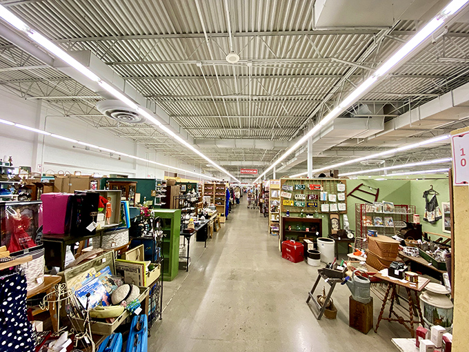 Warehouse-style aisles stretch endlessly, each one hiding decades of forgotten treasures waiting for rediscovery adventures.