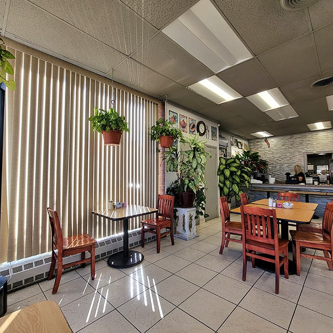 Indoor plants bring life to the simple, clean interior where wooden chairs and tiled floors have witnessed countless morning conversations and coffee refills.