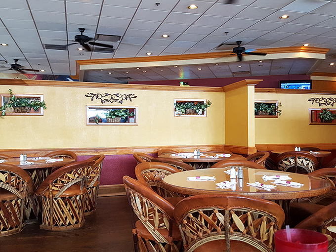 Warm yellow walls and those distinctive woven equipale chairs create an atmosphere that whispers "authentic" without shouting it—the perfect backdrop for flavor fireworks.