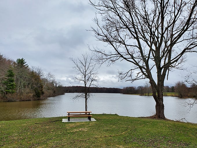 Solitude served with a view. This lakeside bench isn't just furniture—it's front-row seating to nature's most peaceful performance, no tickets required.
