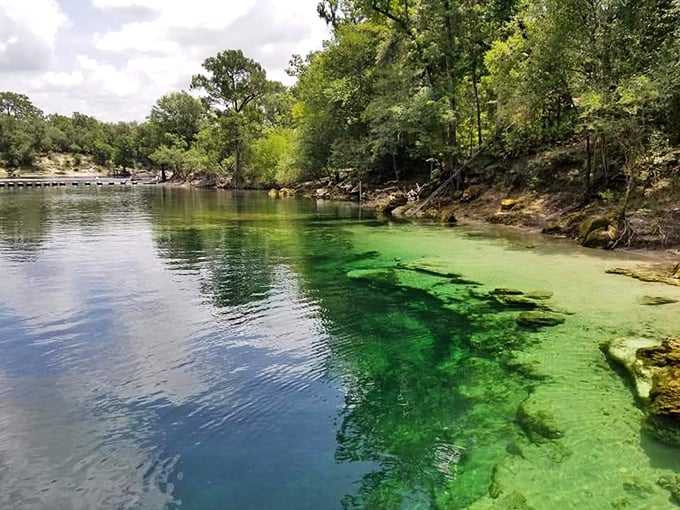 That color gradient isn't camera trickery; it's Mother Nature showing off. The emerald shallows transition to sapphire depths like nature's own color wheel.