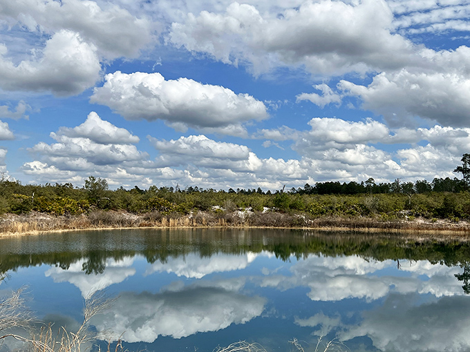 Mirror, mirror on the lake – Florida clouds staging their daily beauty pageant in Sheelar Lake's reflective waters.