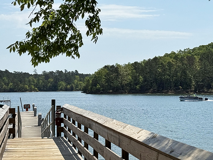 That wooden dock is practically begging you to dangle your feet while contemplating life's big questions.