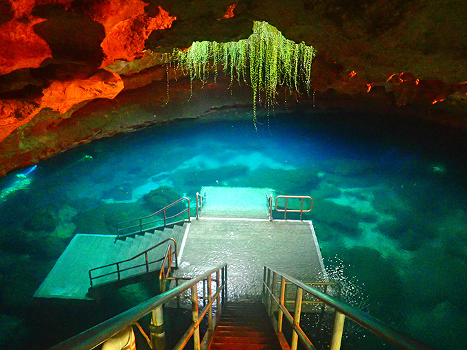 Devil's Den's underground oasis feels like stepping into a movie set—complete with dramatic lighting and prehistoric vibes.